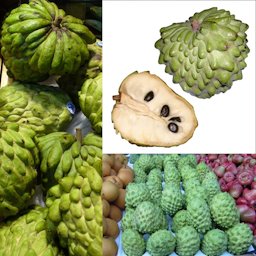 Index of /information/TropicalFruit/images